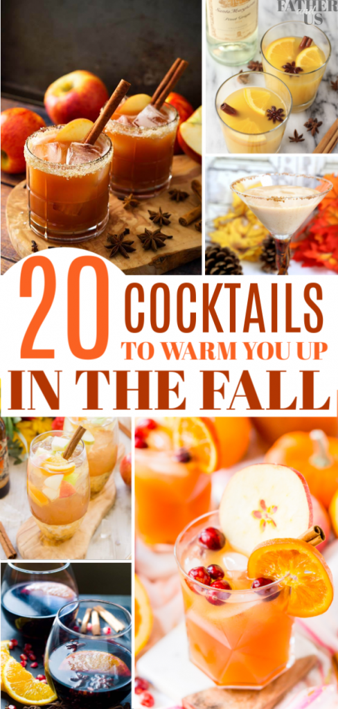 20 Fall Cocktail Recipes To Keep You Warm - Father and Us